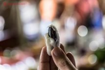 O cruzeiro pelo rio Amazonas com o Iberostar Grand Amazon