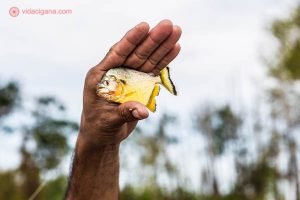 O cruzeiro pelo rio Amazonas com o Iberostar Grand Amazon