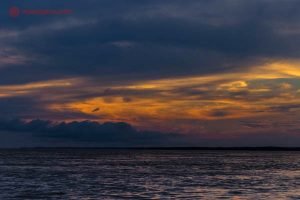 O cruzeiro pelo rio Amazonas com o Iberostar Grand Amazon