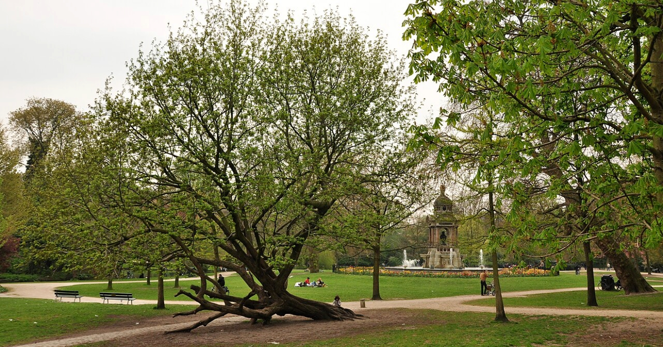 Parques em Amsterdam: 7 espaços verdes para visitar